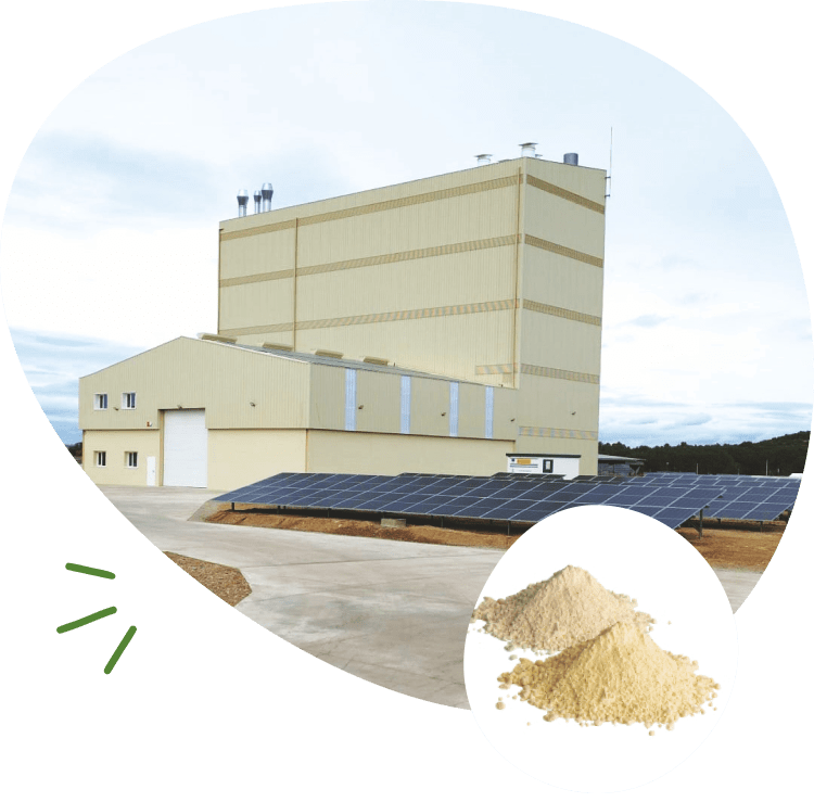 Plant-Based Ingredients Manufacturer - Sanygran